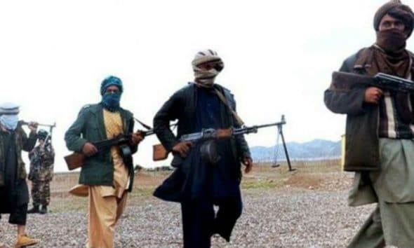 Arquivos talibãs | Jornal de Brasília