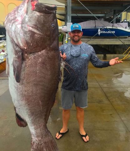 Mero de cerca de 160 Kg capturado na Flórida teria 50 anos | Jornal de ...
