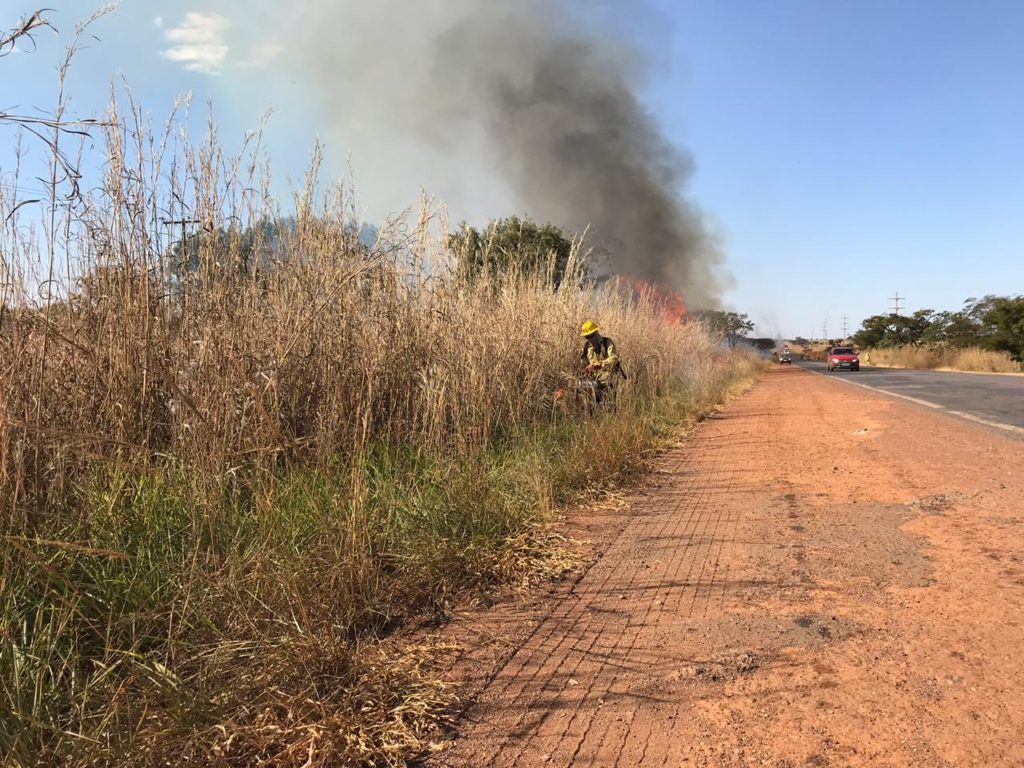 Começam as queimadas controladas para prevenir incêndios | Jornal de ...