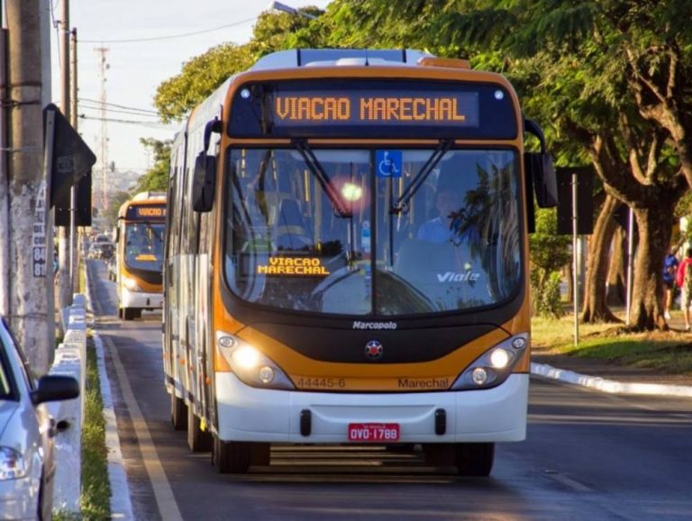 MPDFT apresenta dados iniciais de monitoramento de capivaras no DF ...