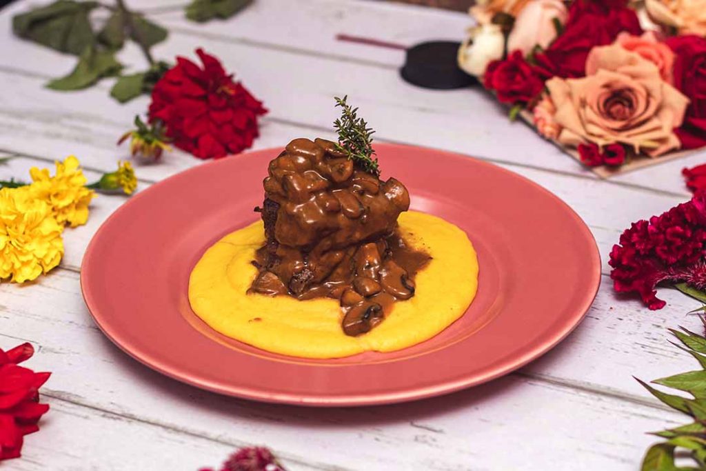 Seleve comemora um ano de sucesso em Brasília | Jornal de Brasília