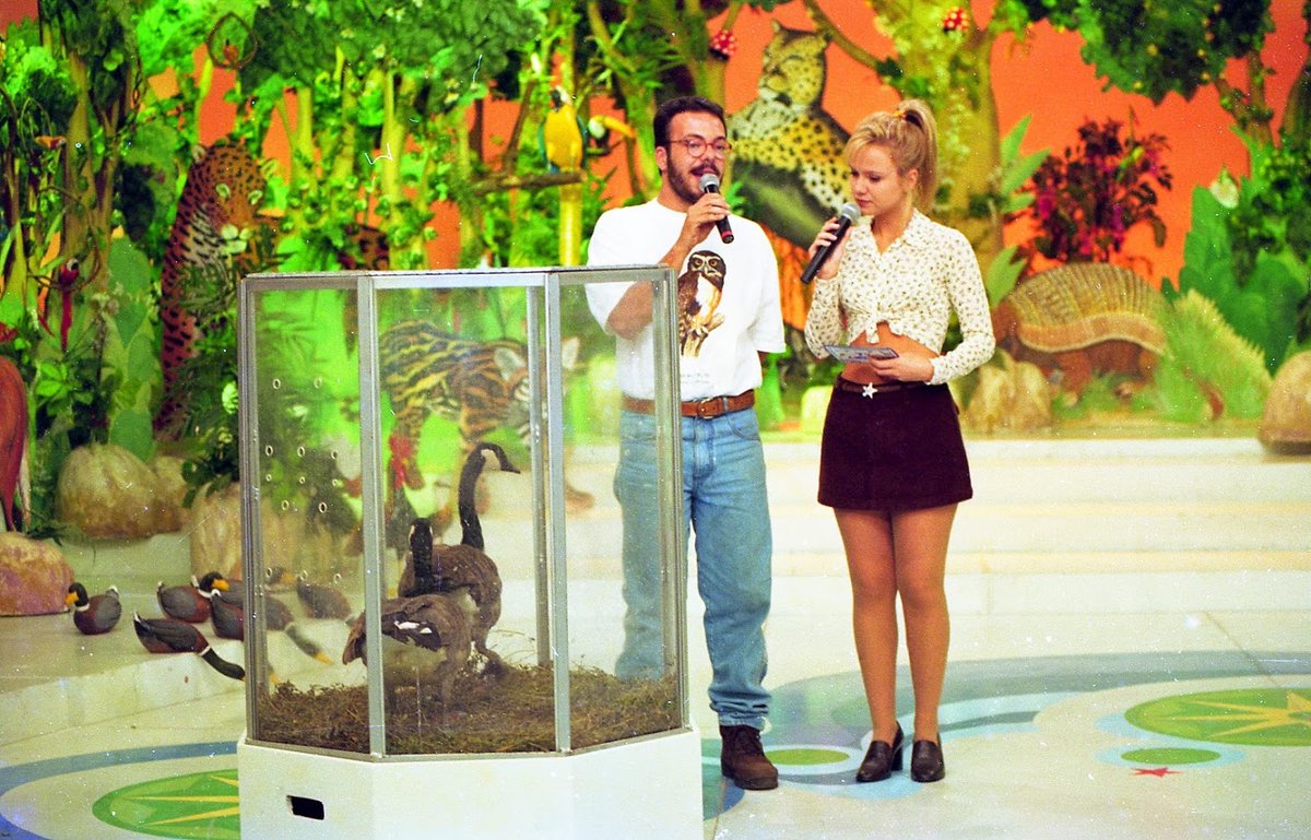 Biólogo do Programa Eliana pede ajuda para ganhar um celular da Samsung ...