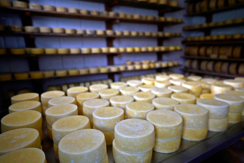 Queijo artesanal do Brasil vem conquistando fãs no mundo | Jornal de ...