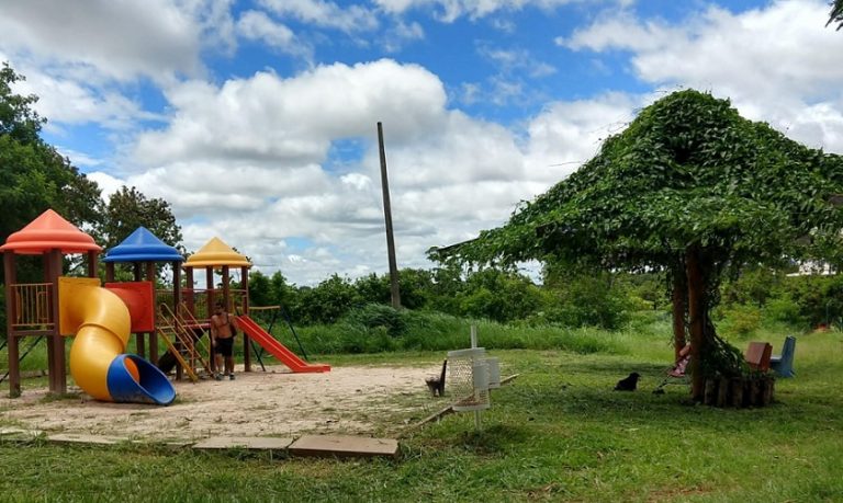Programa Reviva Parques dá início a melhorias no Parque da Asa Sul ...