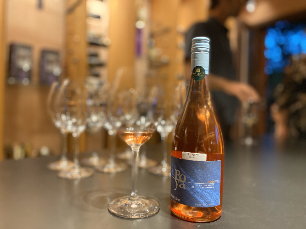 Provei e Aprovei #5 – Boya Rosé | Jornal de Brasília