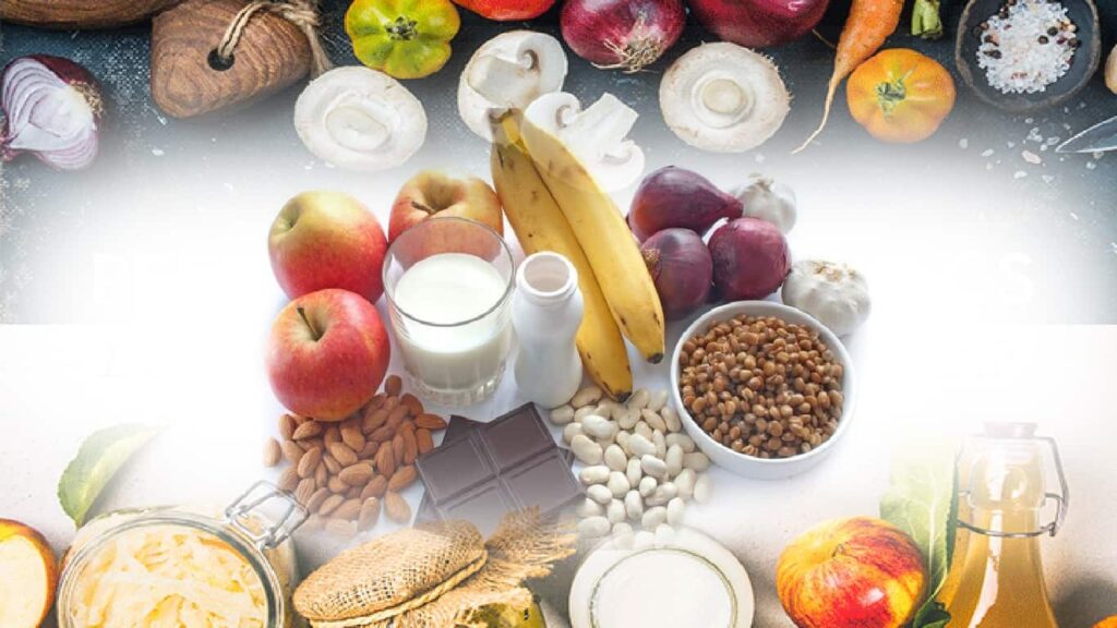 O que são probióticos e prebióticos e quando usá-los para a saúde ...