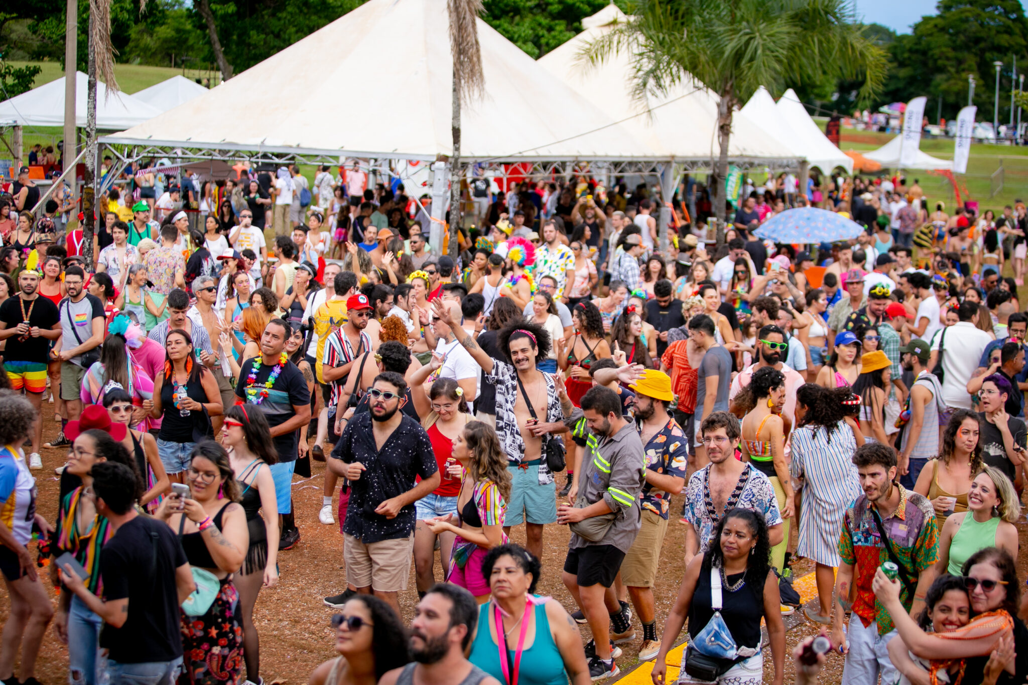 Carnaval agita o quadradinho: confira a agenda de blocos de rua ...