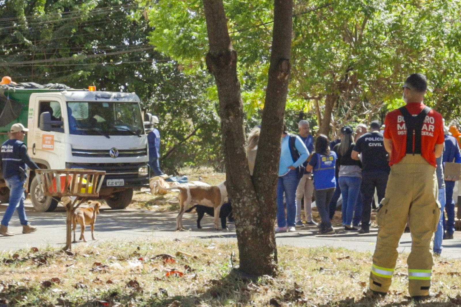Ação de acolhimento atende 44 pessoas em situação de rua no DF nesta ...