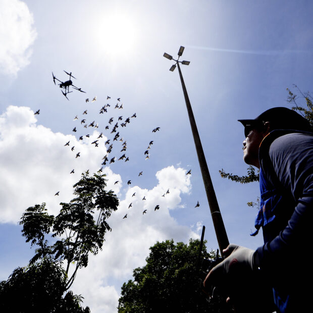 DF combate dengue com visitas a 1,8 mi de residências em 2025 | Jornal ...